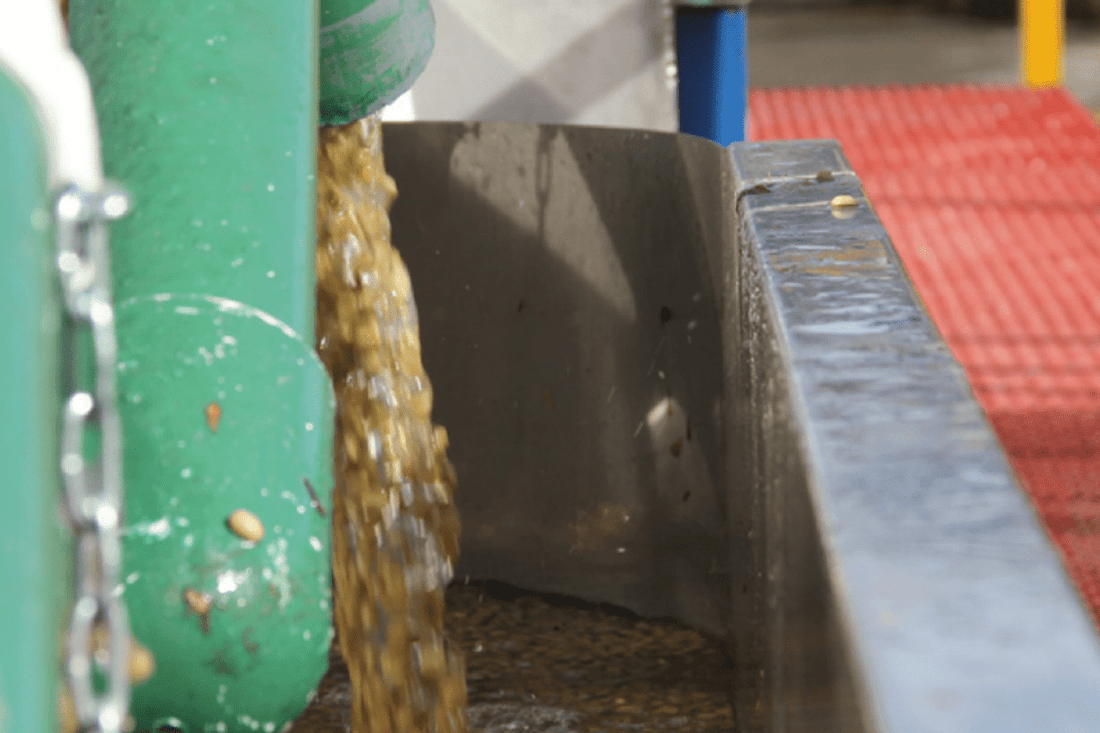 June Roaster's Choice: Costa Rica Tarrazú Hot Springs – Lanna Coffee Co.